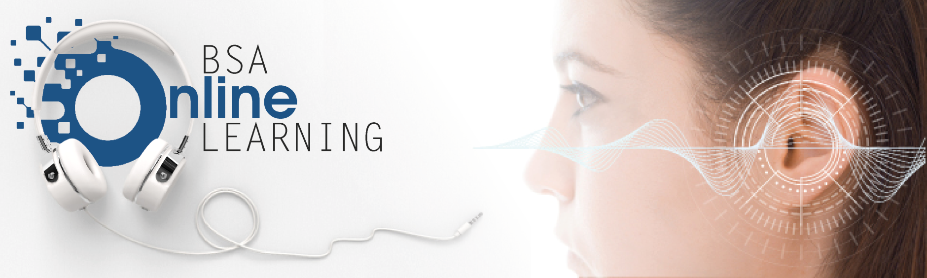 the BSA Online Learning Platform